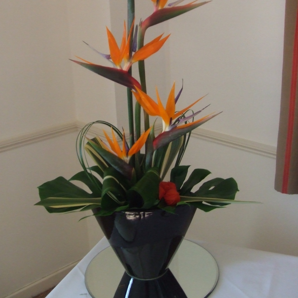 Strelitzia arrangement - Fiona Penny at Sunflowers Florist Weymouth