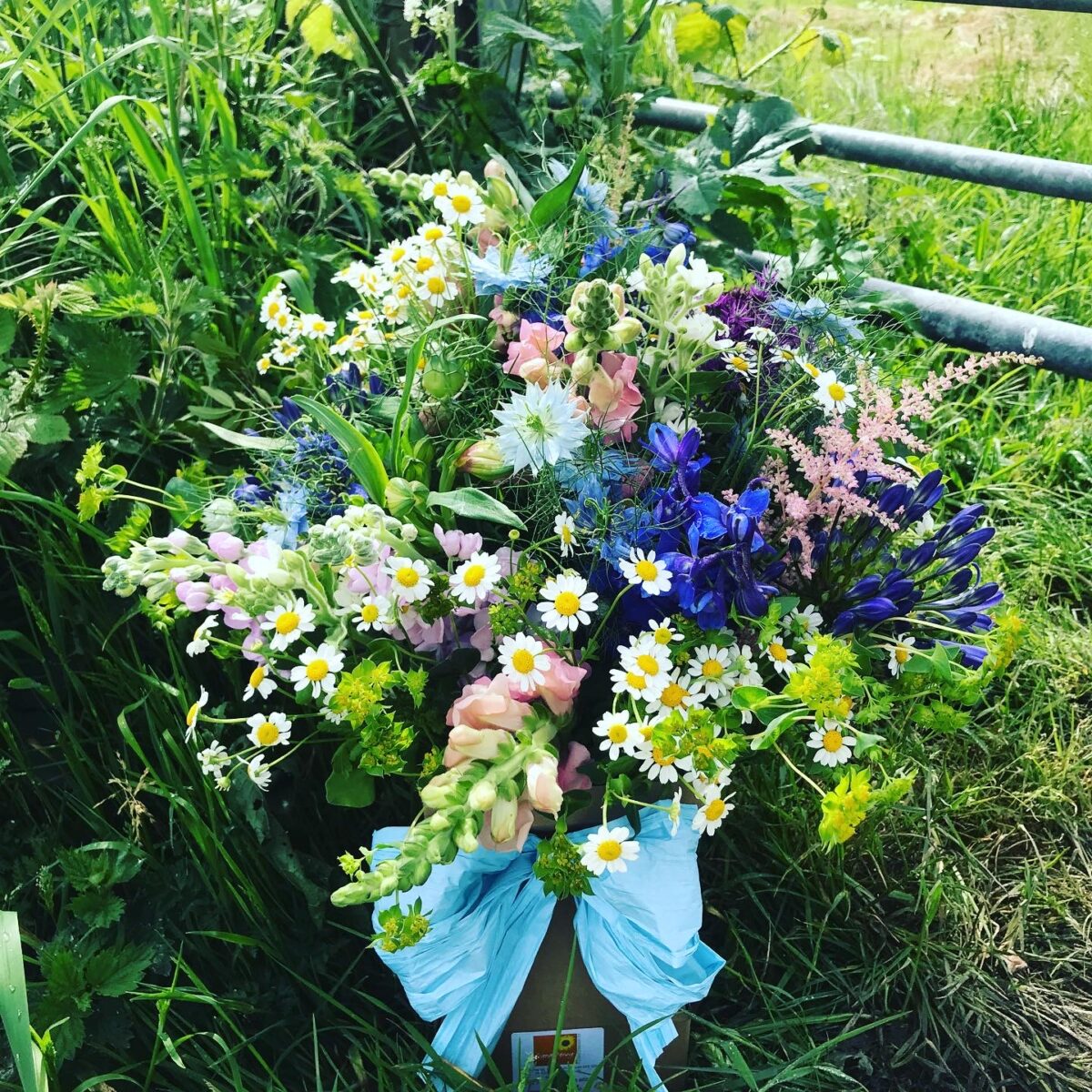 Weymouth Florists | Fiona Penny at Sunflowers